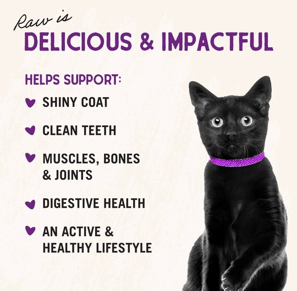 STELLA & CHEWY'S Absolutely Rabbit Dinner Morsels Freeze-Dried Raw Cat ...