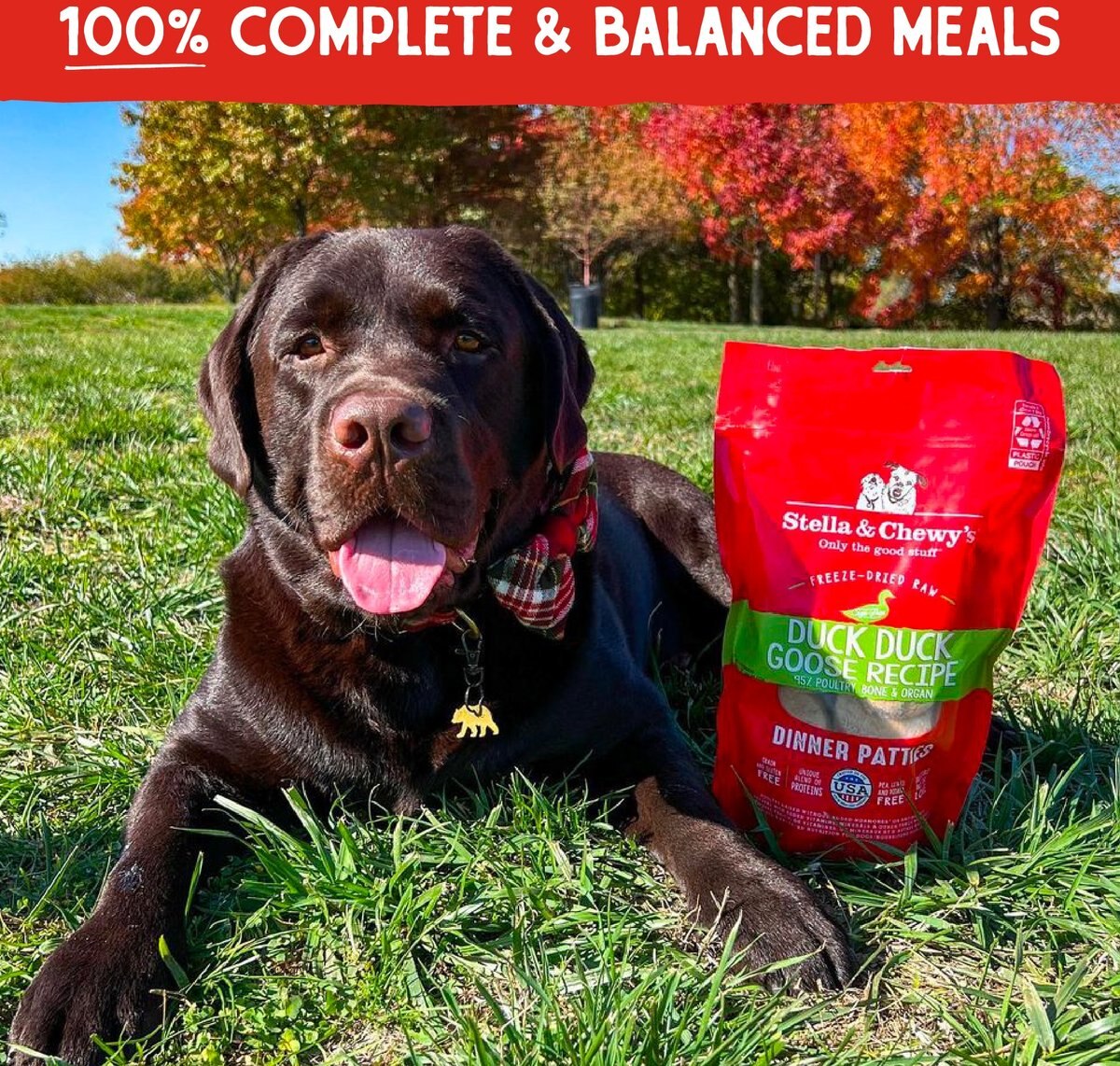 STELLA & CHEWY'S Duck Duck Goose Dinner Patties Freeze-Dried Raw Dog ...