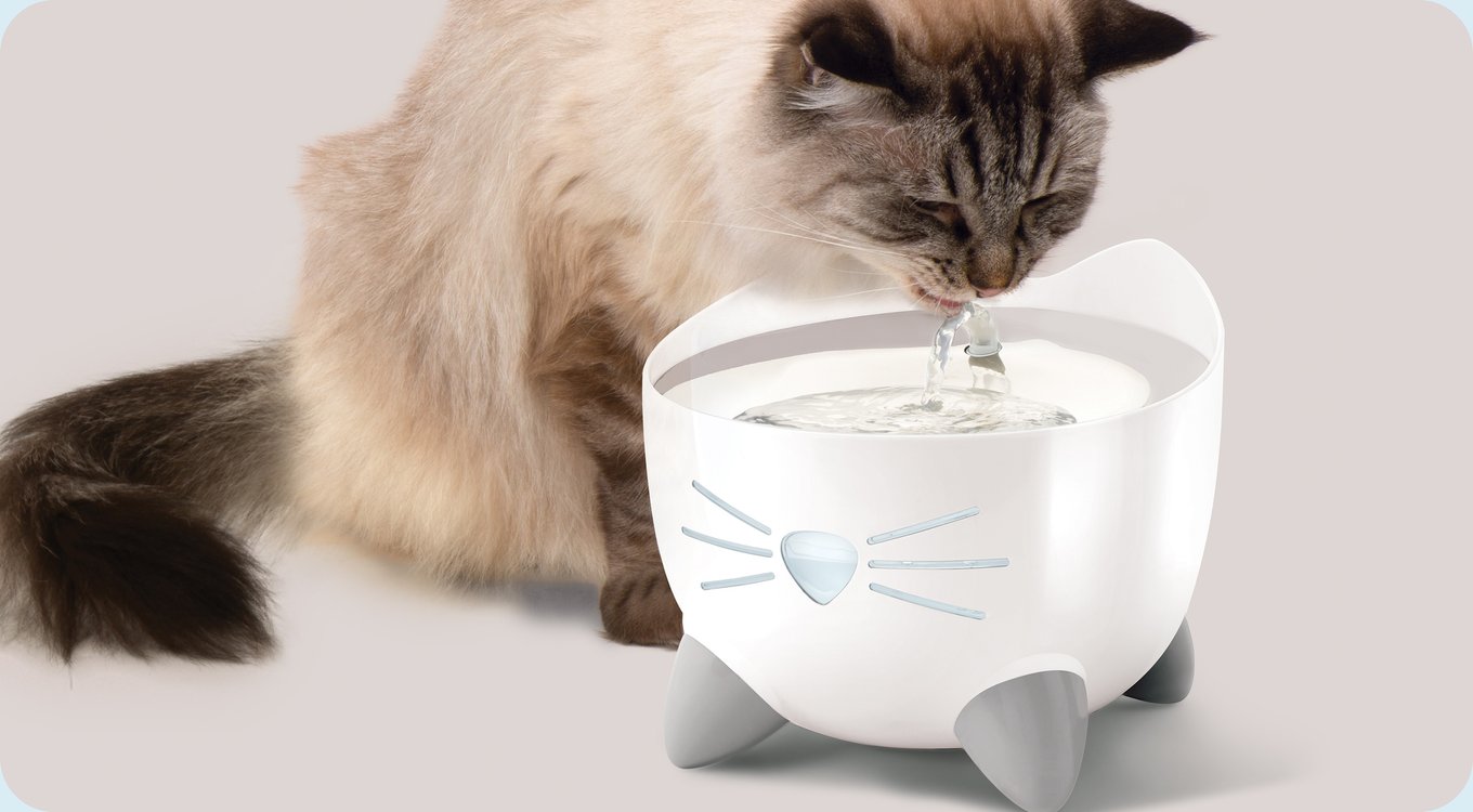 CATIT Triple Action Pet Fountain Filter, 5 pack - Chewy.com