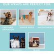 SIMPLE SOLUTION Washable Male Dog Wrap, Medium: 12 to 23-in waist ...