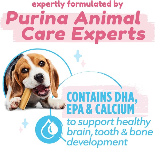 DENTALIFE Chicken Flavored Puppy Teething Dental Chews, 19 count ...