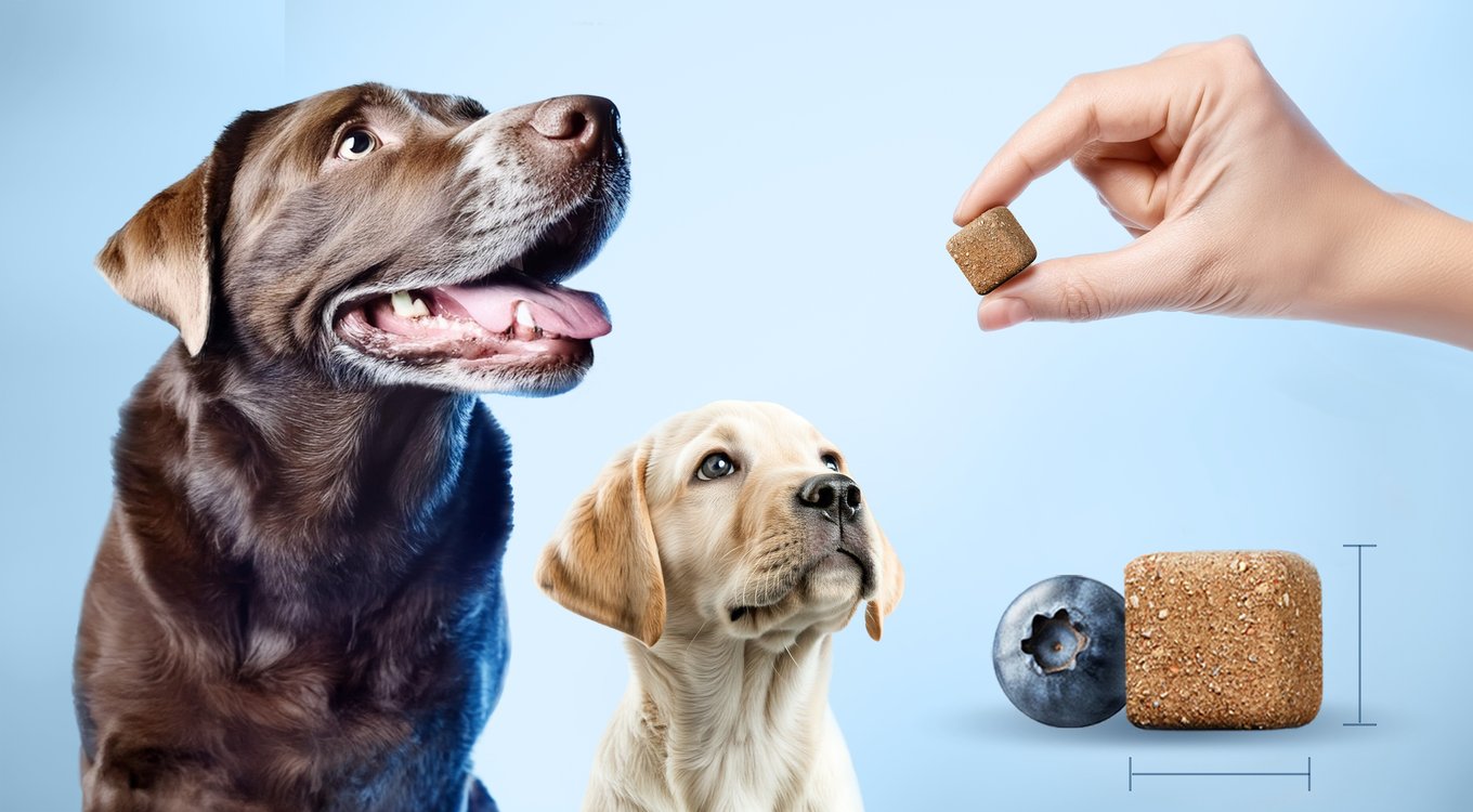 STRELLALAB No Poo Coprophagia Stool Eating Deterrent Chew Supplement ...