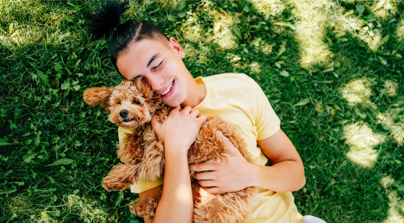 CREDELIO QUATTRO Chewable Tablets for Dogs, 6.1-12 lbs, 1 Chewable (1 ...