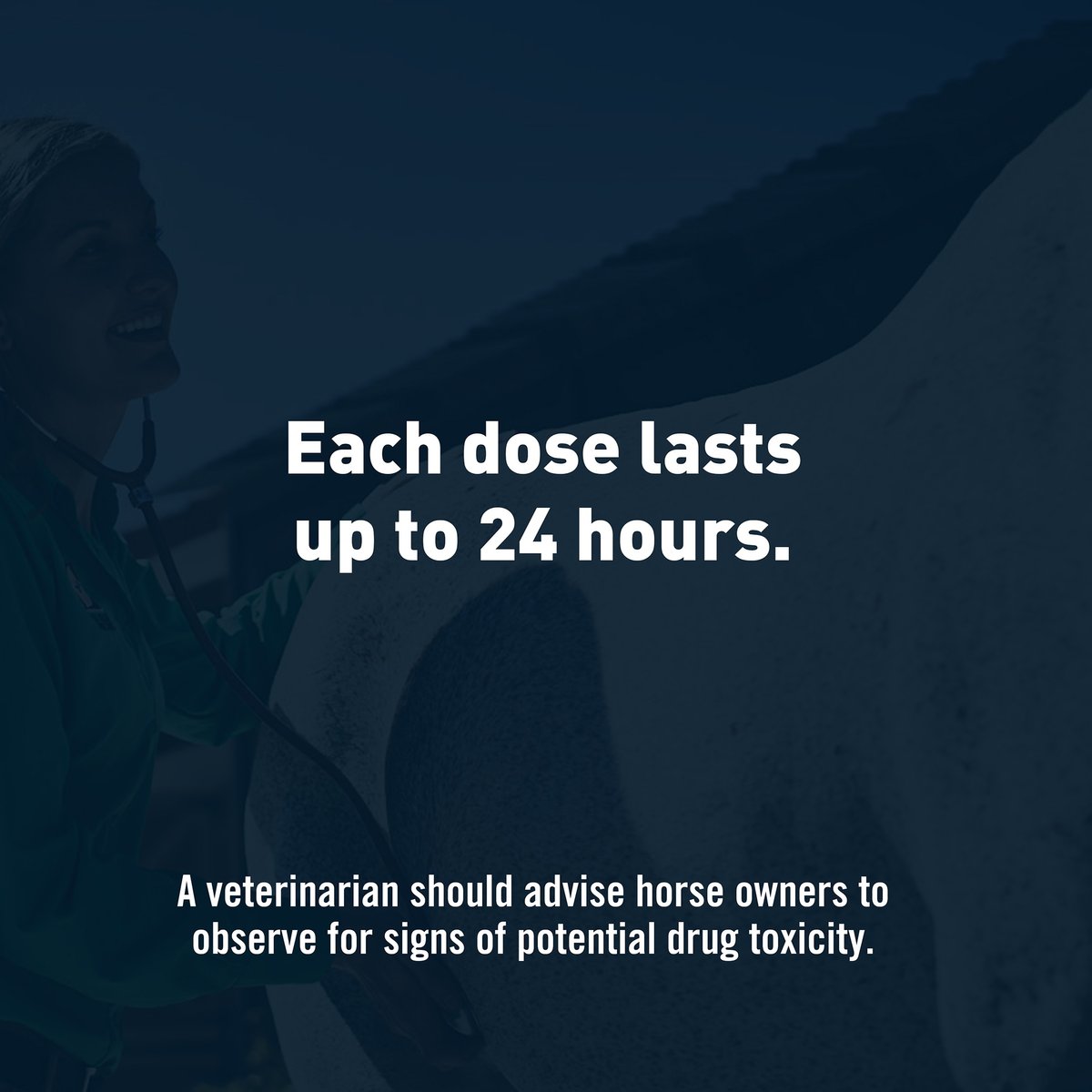 EQUIOXX (Firocoxib) Tablets for Horses, 57 mg, 30 Tablets - Chewy.com