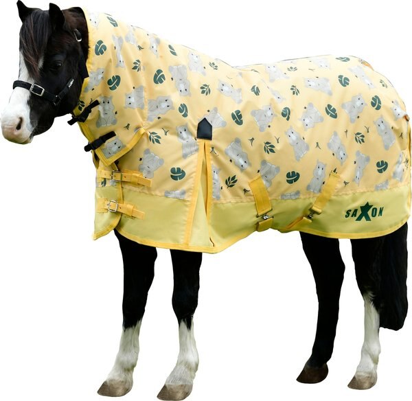SAXON 600D Pony Combo Neck Medium Horse Turnout, Rhino Print, 48-in - Chewy.com