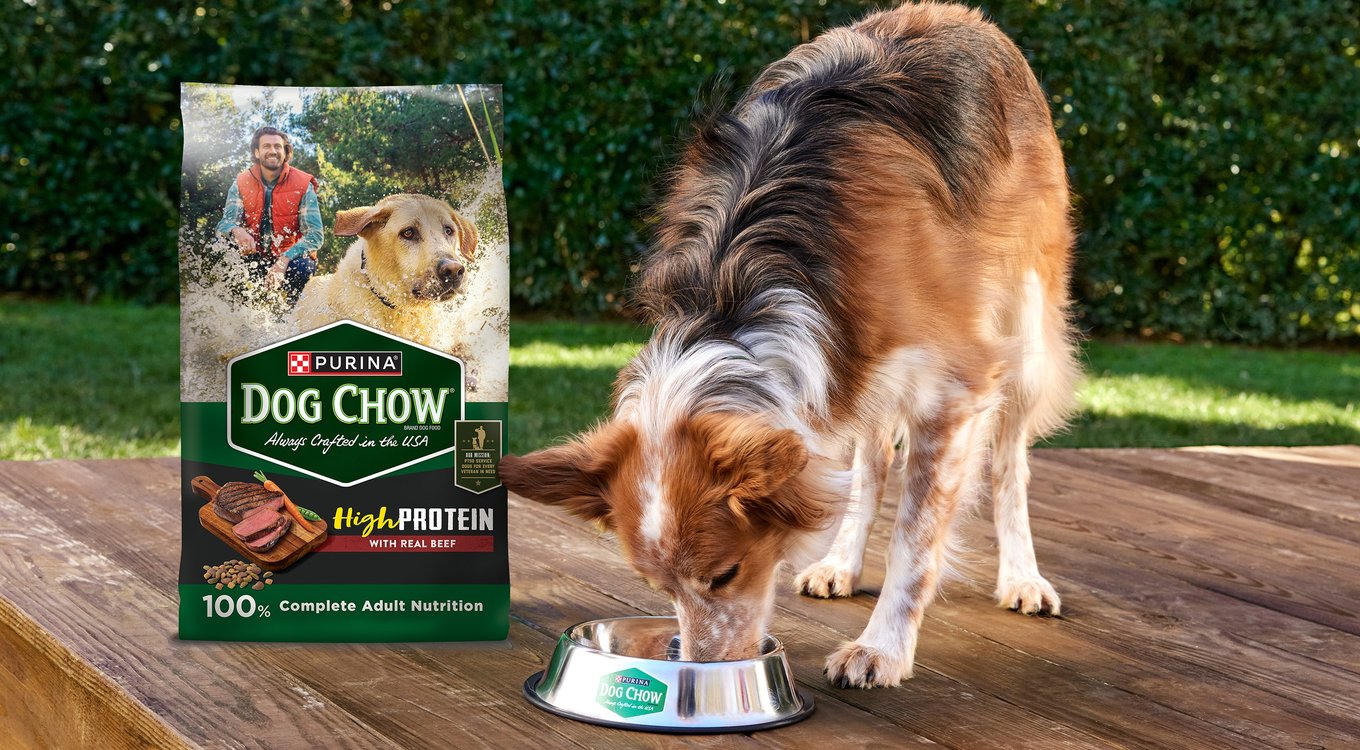 DOG CHOW Complete Adult with Real Chicken Dry Dog Food, 32-lb bag ...