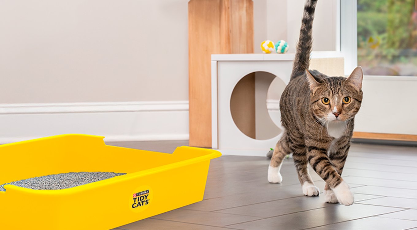 TIDY CATS Tidy Feet Low Tracking Unscented Clumping Clay Cat Litter, 22 ...