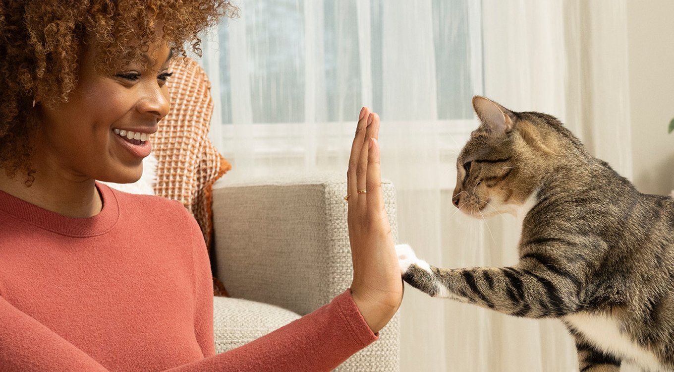 TIDY CATS Tidy Feet Low Tracking Unscented Clumping Clay Cat Litter, 20 ...