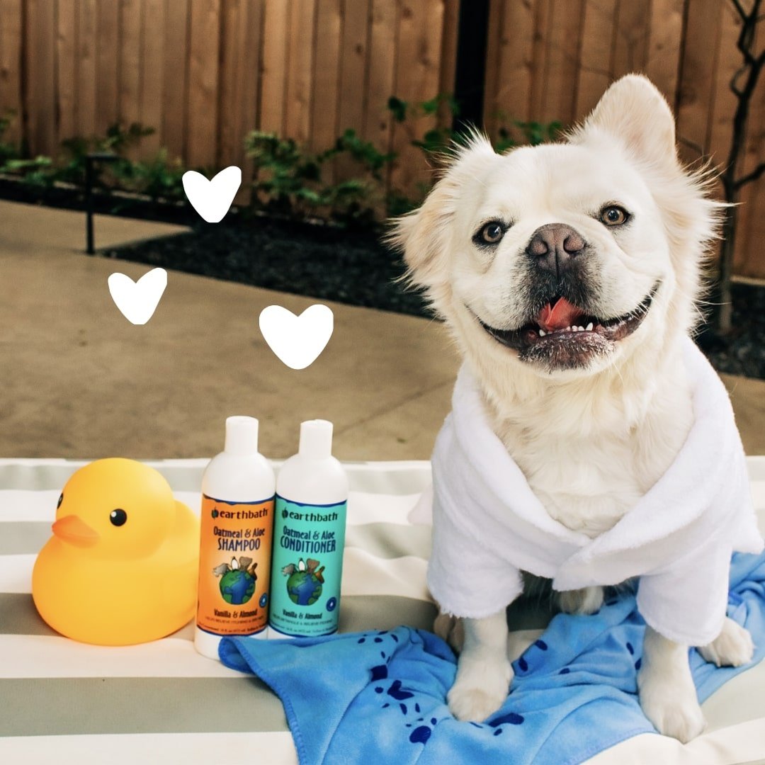 EARTHBATH Oatmeal & Aloe Dog & Cat Conditioner, Vanilla & Almond, 16-fl ...