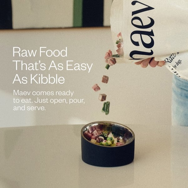 MAEV Beef Formula Supplemented for Weight & Digestion Human-Grade Raw ...