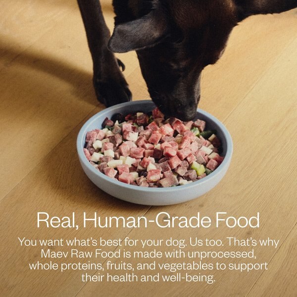 MAEV Beef Formula Supplemented for Skin & Coat Human-Grade Raw Dog Food ...