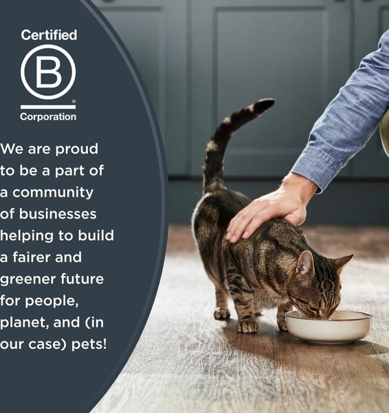 REVEAL Natural Grain-Free Tuna with Seaweed in Broth Flavored Wet Cat ...