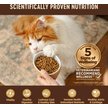 WELLNESS CORE Grain-Free Kitten Formula Natural Dry Cat Food, 5-lb bag ...