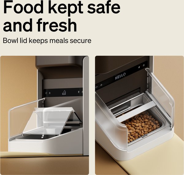 PETLIBRO One RFID Automatic Cat Feeder with Collar Tag, 3-L & Feeder ...