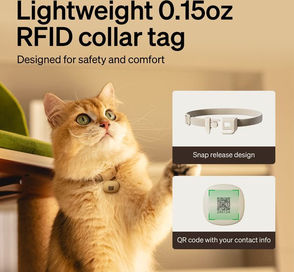 PETLIBRO One RFID Automatic Cat Feeder with Collar Tag, 3-L, Coffee ...