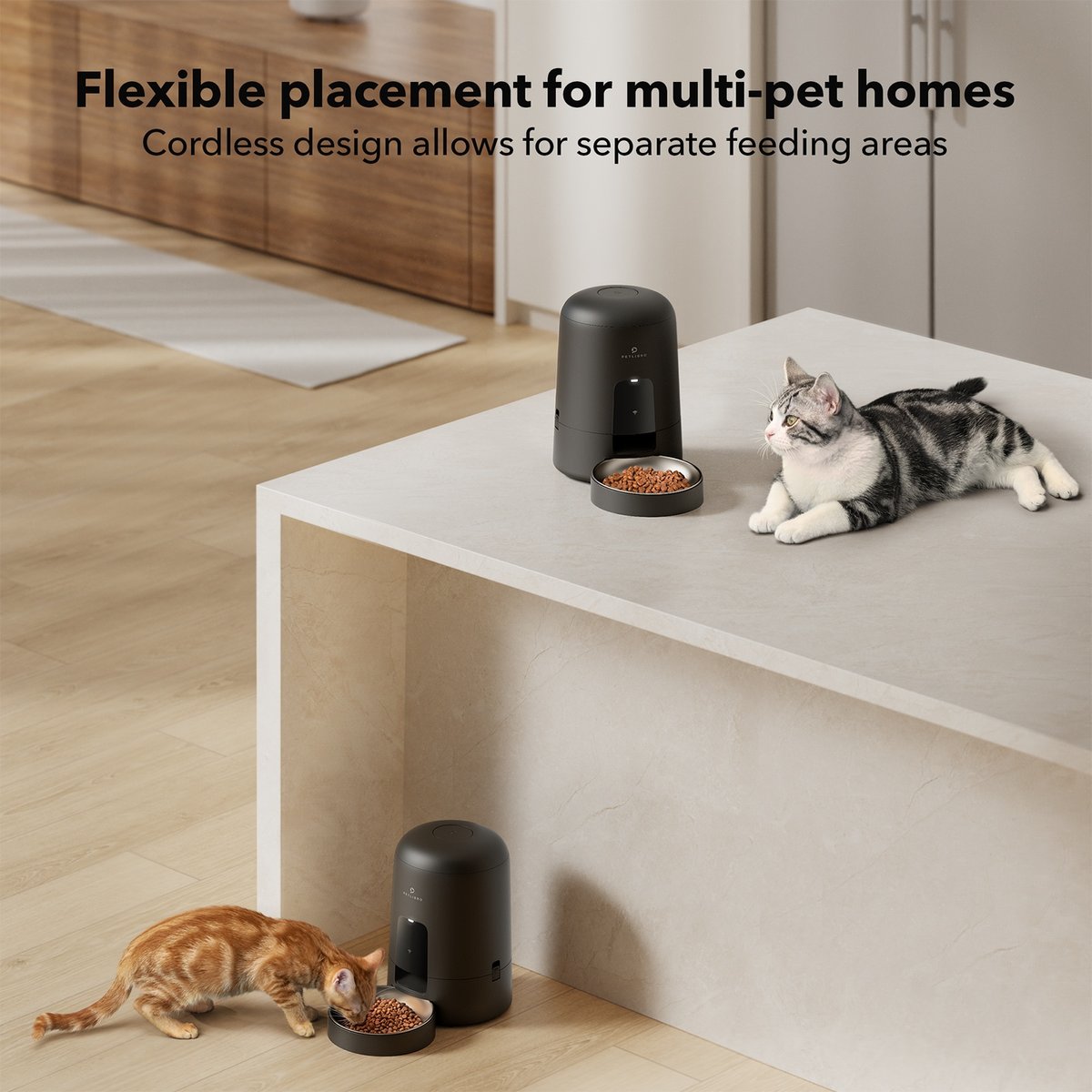 PETLIBRO Automatic Cat Feeder & Wireless Cat Fountain Set, Black ...