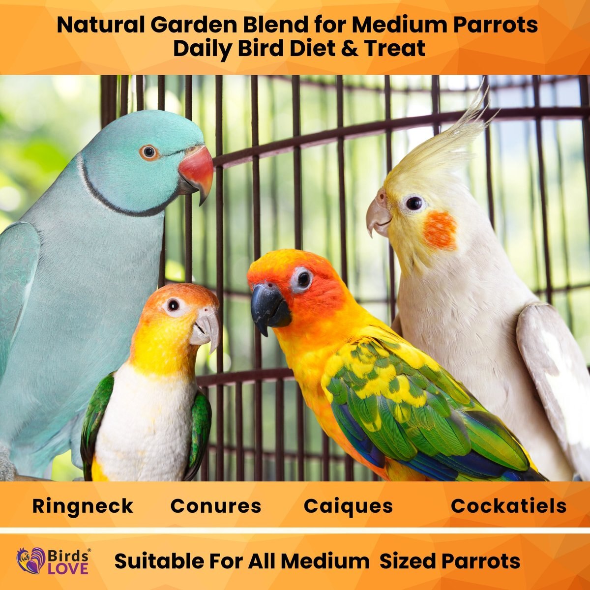 BIRDS LOVE Natural Garden Blend Medium Parrot Bird Food, 2-lb bag ...