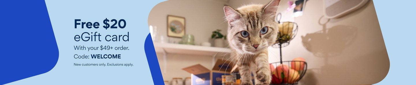 Cat Supplies: Cat Accessories & Products (Free Shipping) | Chewy