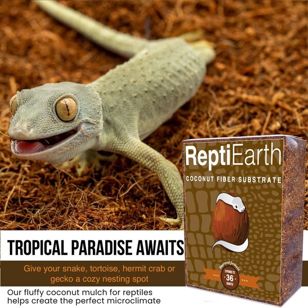 REPTICHIP ReptiEarth Fluffy Coconut Fiber Reptile Substrate, 36-qt ...