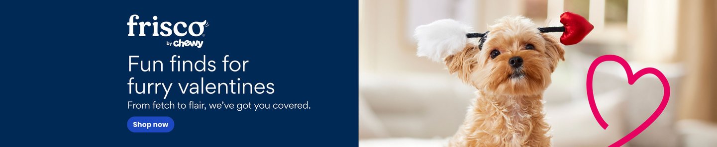 Pet Food, Products, Supplies at Low Prices - Free Shipping | Chewy.com