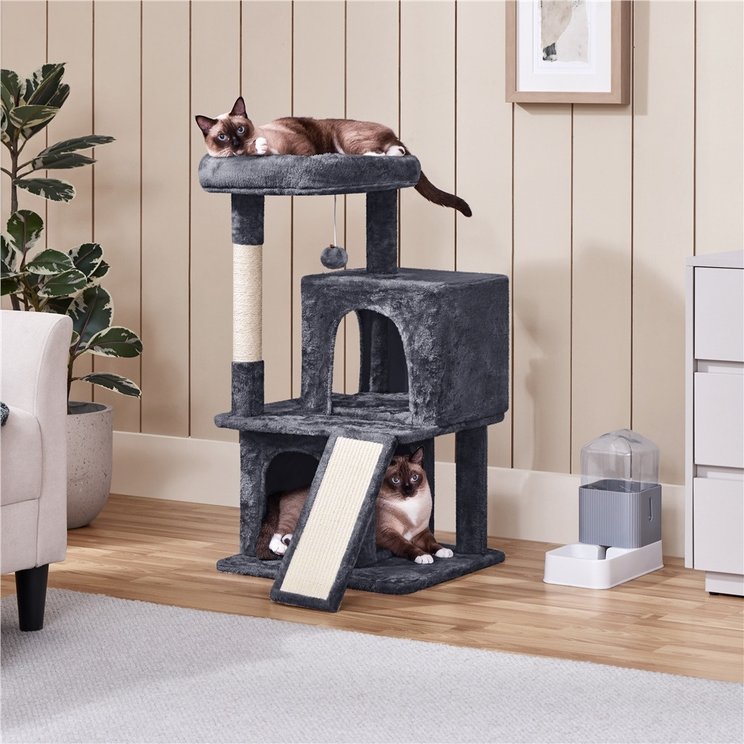 Medium Cat Trees & Condos: 31-59" Tall (Free Shipping) | Chewy