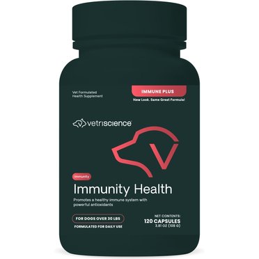 Immune Support For Dogs With Cancer (Free Shipping) | Chewy