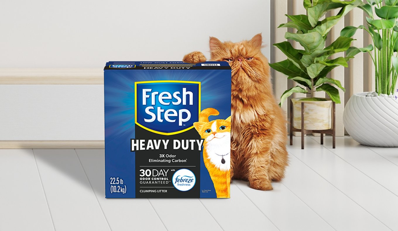 Fresh Step - Free shipping | Chewy