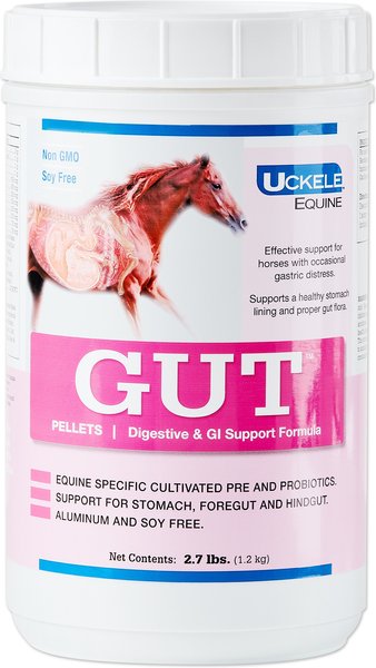 UCKELE Gut Pellets Pellets Horse Supplement, 2.7-lb jar - Chewy.com