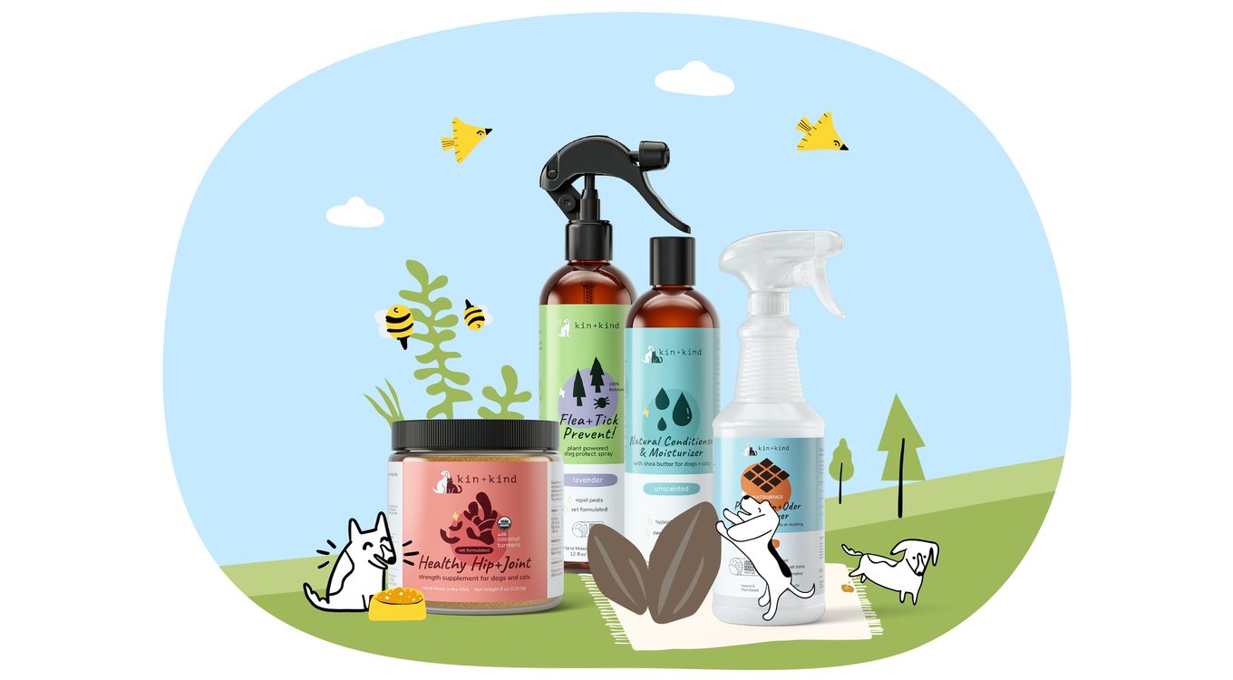 KIN+KIND Charcoal Natural Dog Shampoo, 12-fl oz bottle - Chewy.com