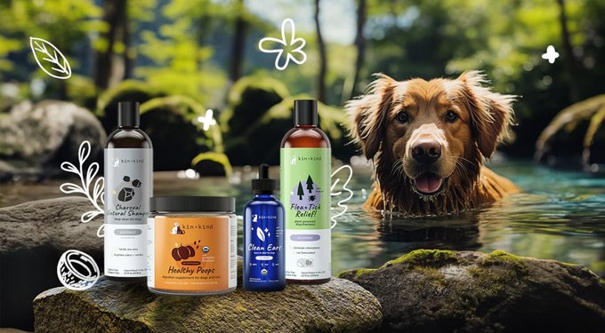 KIN+KIND Kin Organics Jasmine & Lily Dog Shampoo, 12-fl oz bottle ...