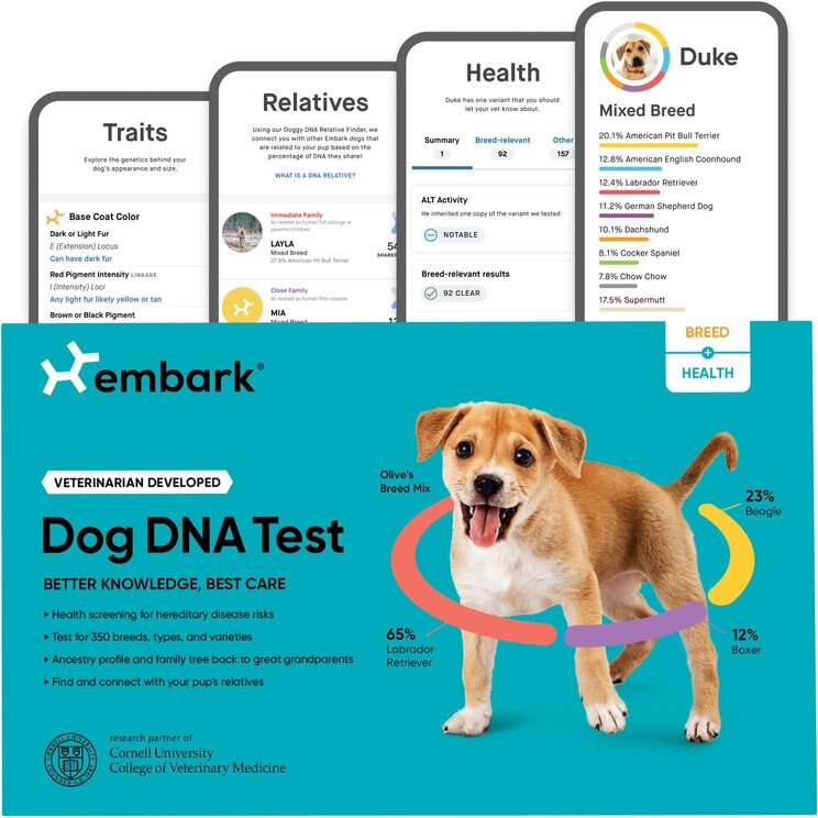 Embark Dog DNA & Breed Tests | Chewy