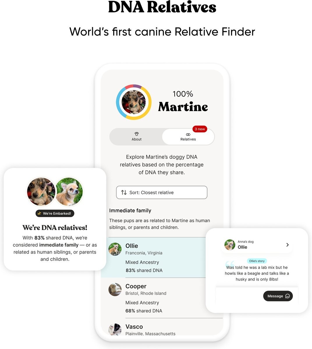 EMBARK Breed & Health Dog DNA Test Kit - Chewy.com