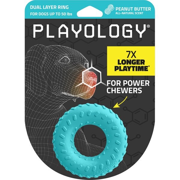 GOUGHNUTS Ring Dog Toy, Green, Small - Chewy.com