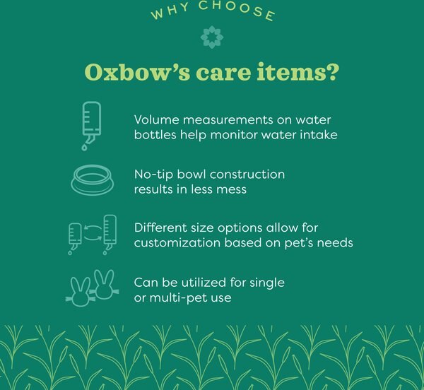 OXBOW Poof! Chinchilla Dust Bath, Blue Cloud, 2.5-lb jar - Chewy.com