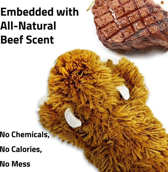 PLAYOLOGY Plush Highland Cow Beef Scent Squeaky Dog Toy - Chewy.com