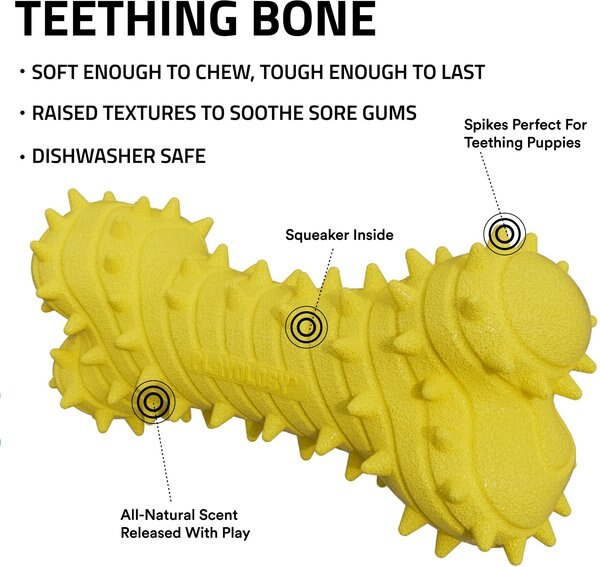 PLAYOLOGY Young & Active Teething Bone Chicken Dog Toy, Yellow, Jumbo ...