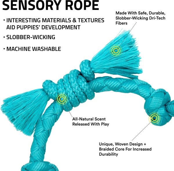 PLAYOLOGY Young & Active Sensory Rope Peanut Butter Dog Toy, Blue ...