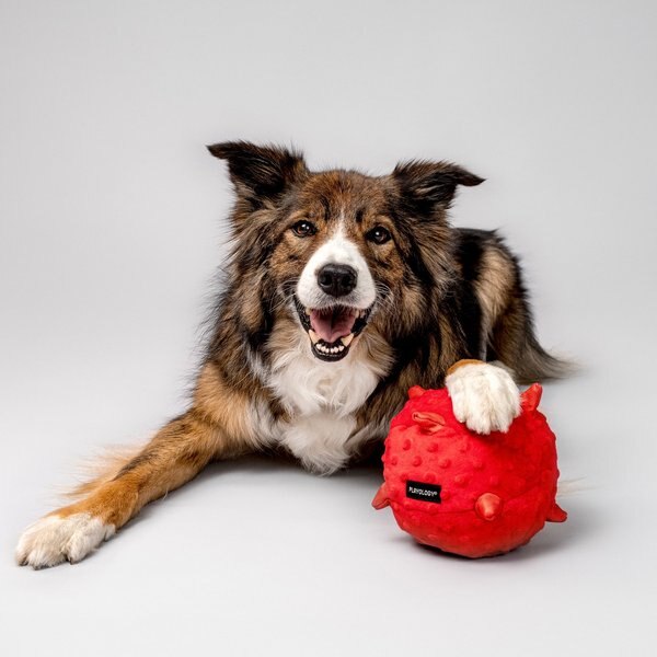 PLAYOLOGY Young & Active Sensory Ball Beef Dog Toy, Red, Jumbo - Chewy.com