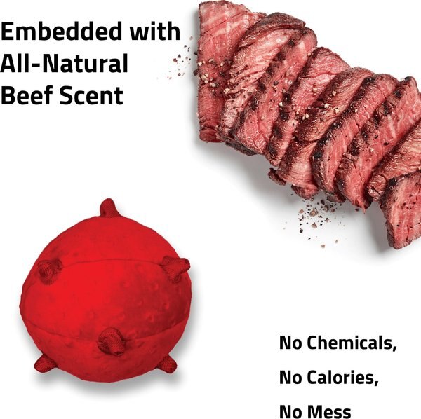 PLAYOLOGY Young & Active Sensory Ball Beef Dog Toy, Red, Small - Chewy.com
