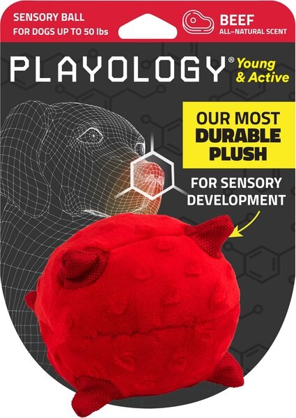 PLAYOLOGY Young & Active Sensory Ball Beef Dog Toy, Red, Small - Chewy.com