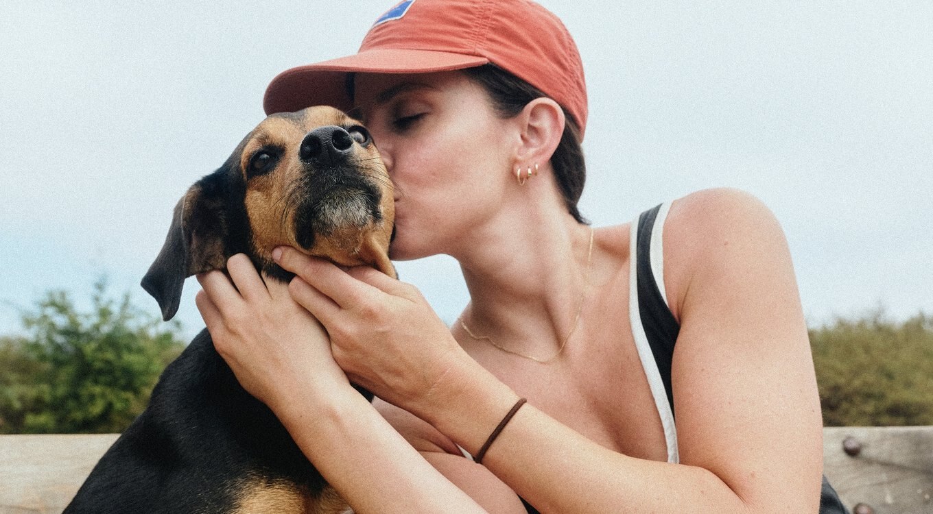 MAEV Hip & Joint Human-Grade Raw Frozen Beef Dog Food, 5-lb bag - Chewy.com