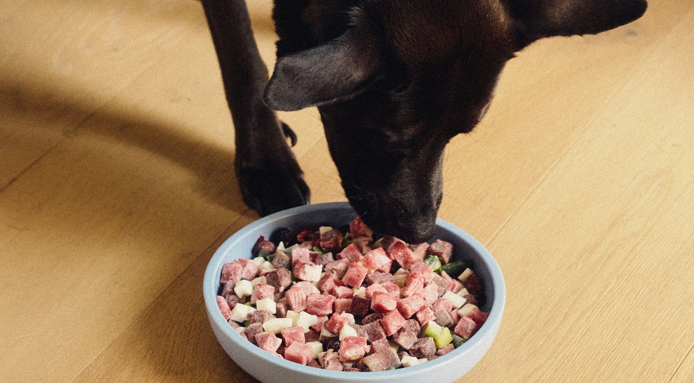 MAEV Hip & Joint Human-Grade Raw Frozen Beef Dog Food, 5-lb bag - Chewy.com