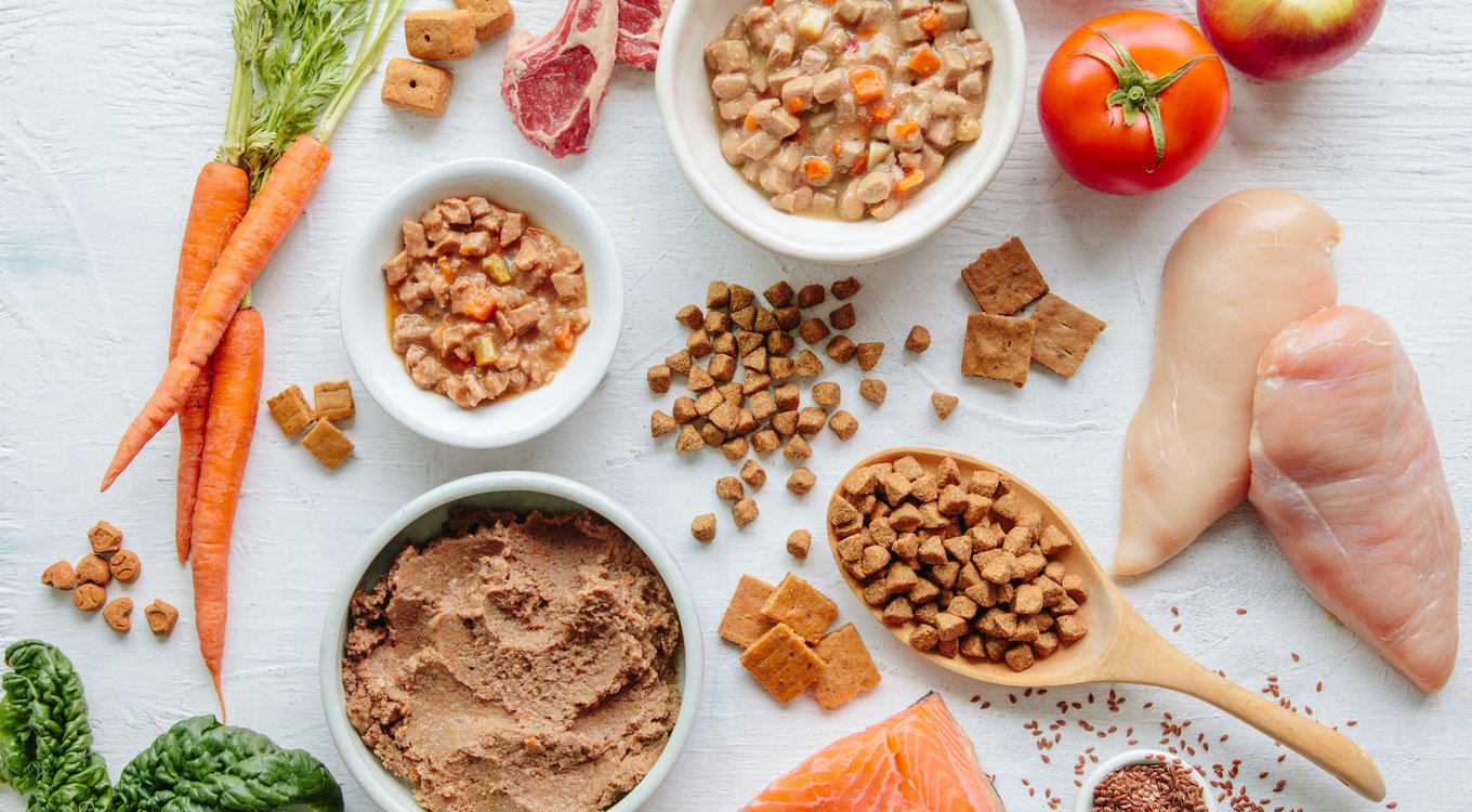 WELLNESS CORE Bowl Boosters Bare Turkey Freeze-Dried Dog Food Mixer or ...