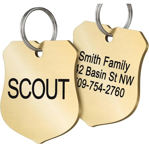 QUICK-TAG Coated Metal Personalized Dog & Cat ID Tag, Metallic Rainbow ...