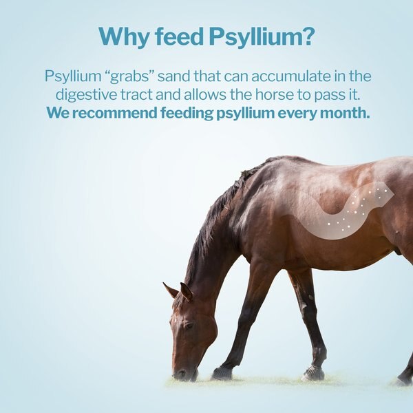 FORMULA 707 Psyllium Horse Supplement, 12-lb Bag - Chewy.com