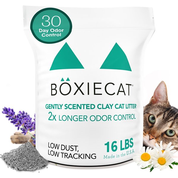 BOXIECAT Gently Scented Premium Clumping Clay Cat & Kitty Litter, 16-lb ...