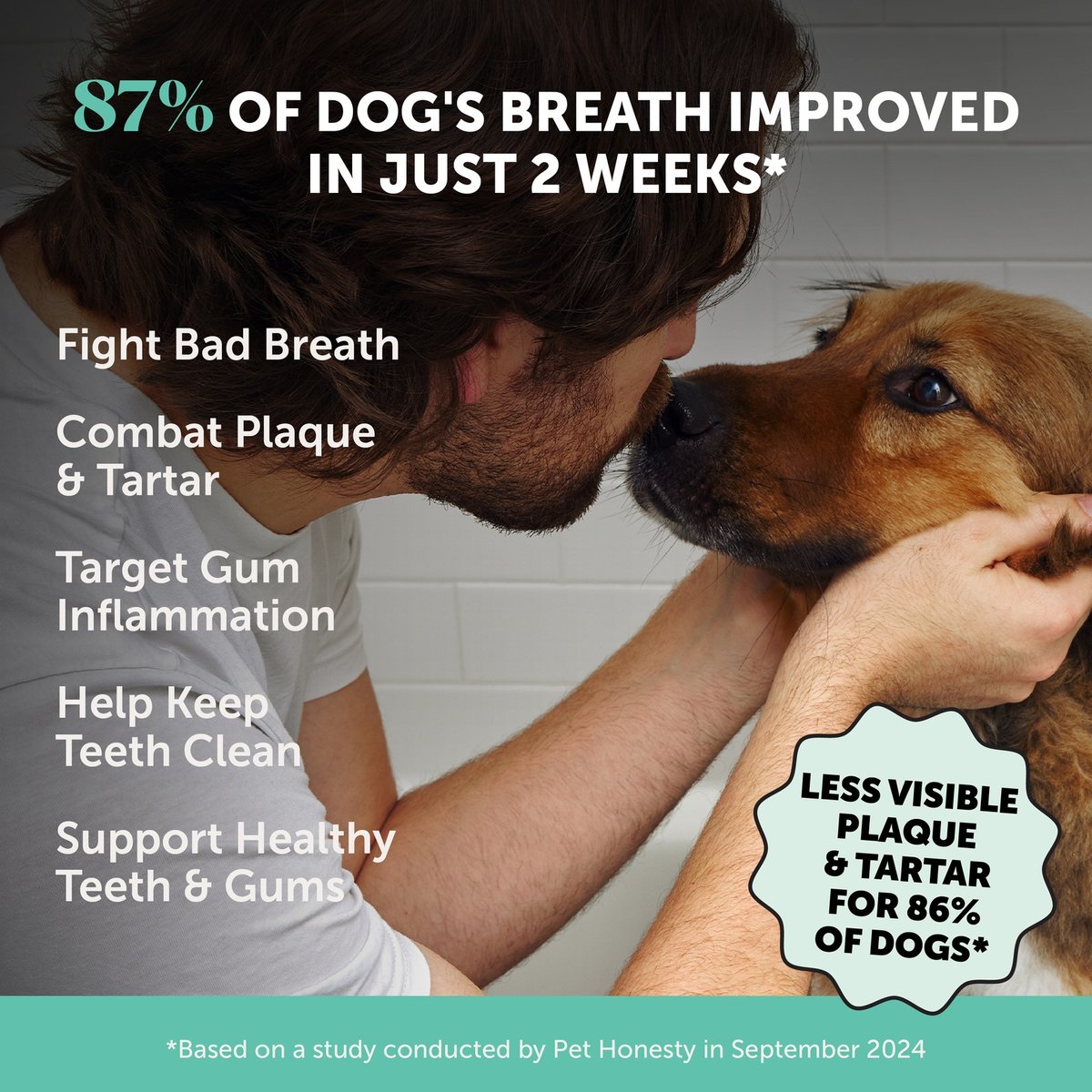 New Version Available - PET HONESTY Fresh Breath Mint Flavored Teeth ...