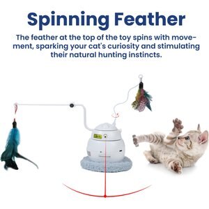 9 Best Moving Cat Toys 2025: According to Reviews | Chewy