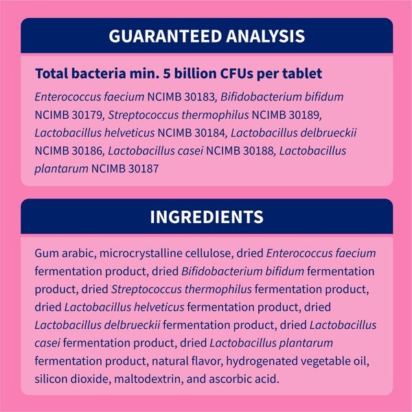 NUTRAMAX Proviable Probiotics Daily Digestive Health Chewable Tablet ...