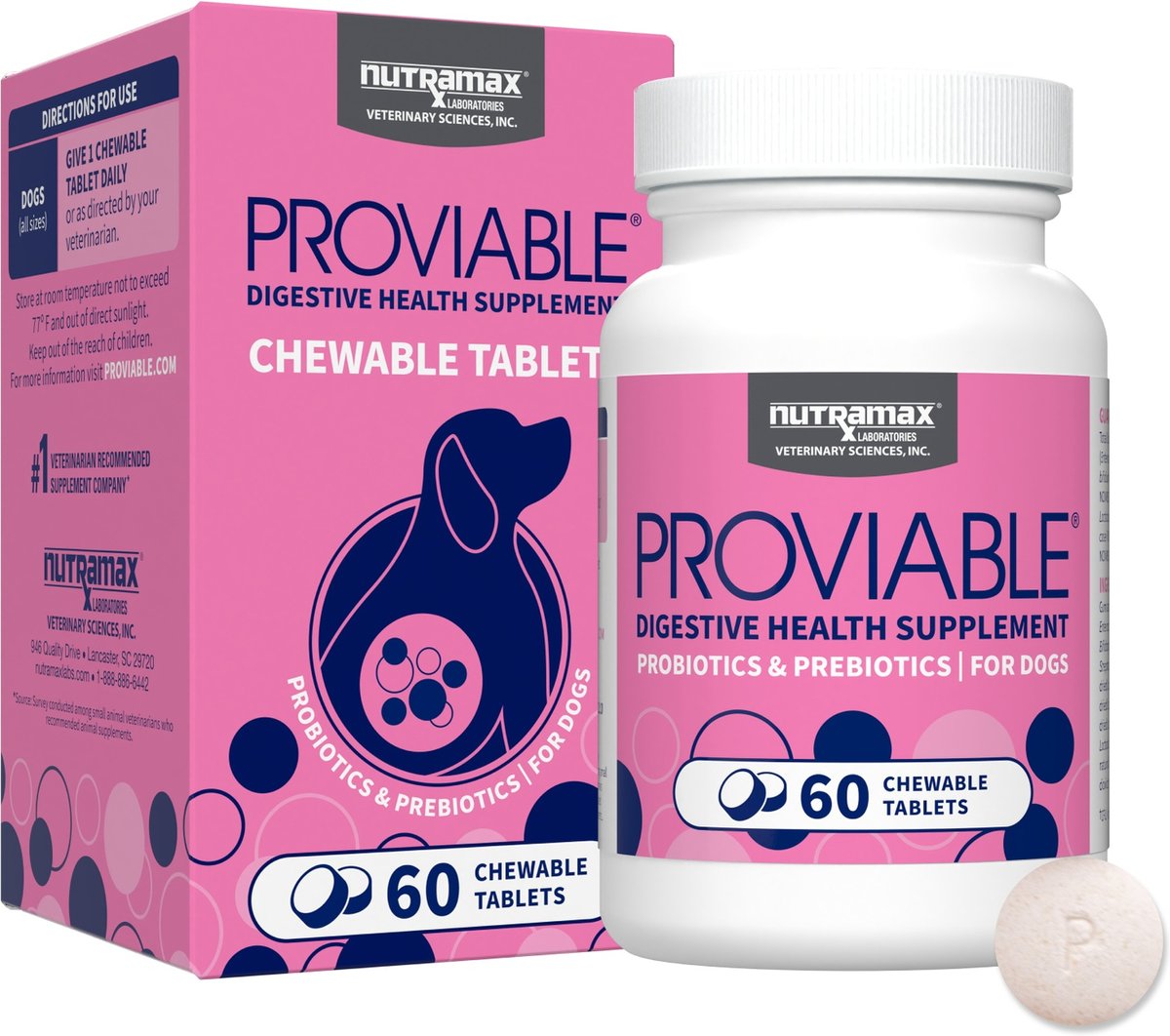 NUTRAMAX Proviable Probiotics Daily Digestive Health Chewable Tablet ...